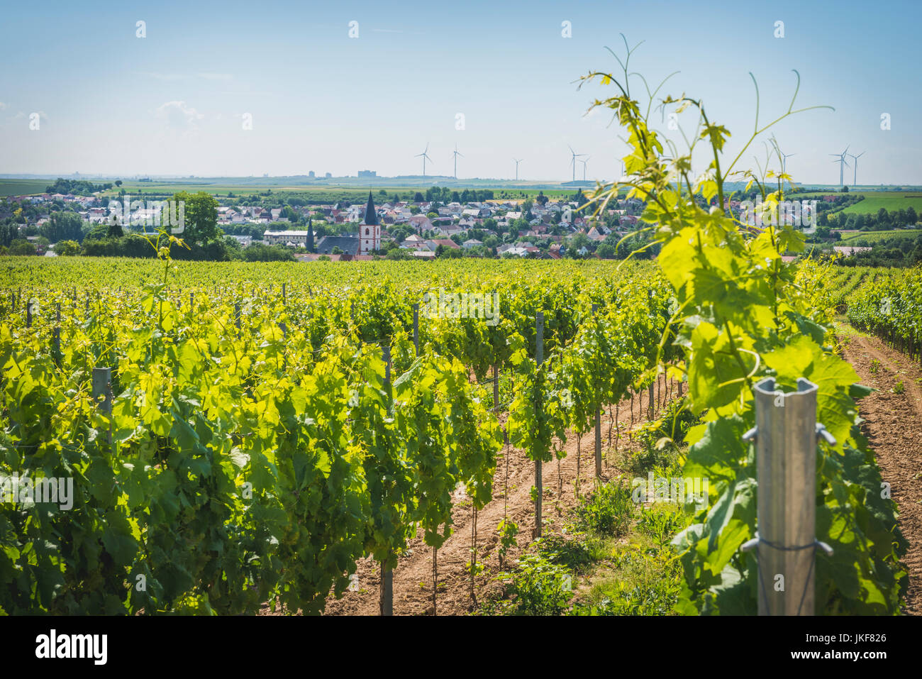 Germany, Westhofen, view to the village with vineyards in the ...