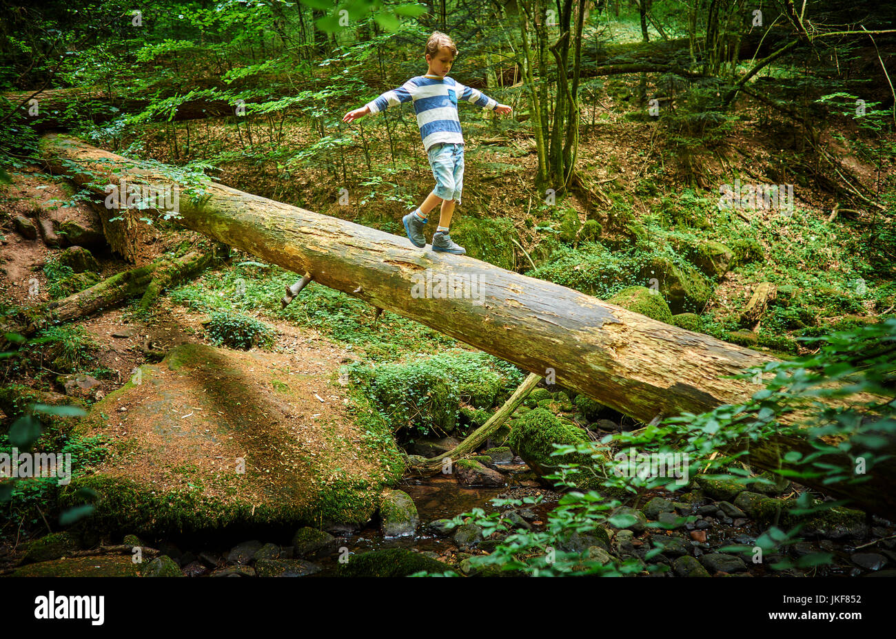 Little girl balancing on tree trunk in the woods Stock Photo - Alamy