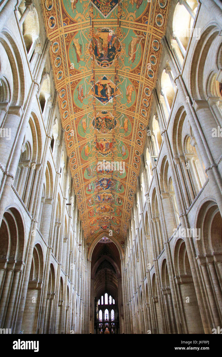 Ely Cathedral Ceiling High Resolution Stock Photography and Images - Alamy