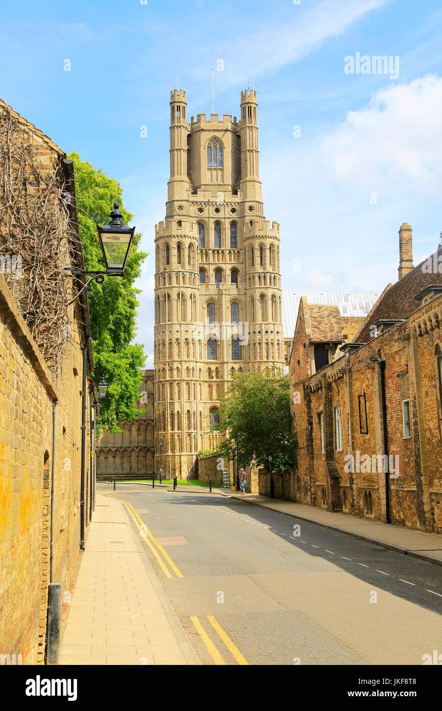 Ely cathedral church from the Gallery, Ely, Cambridgeshire, England, UK ...