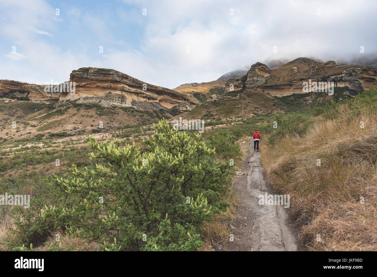 Tourist trekking on marked trail in the Golden Gate Highlands National ...