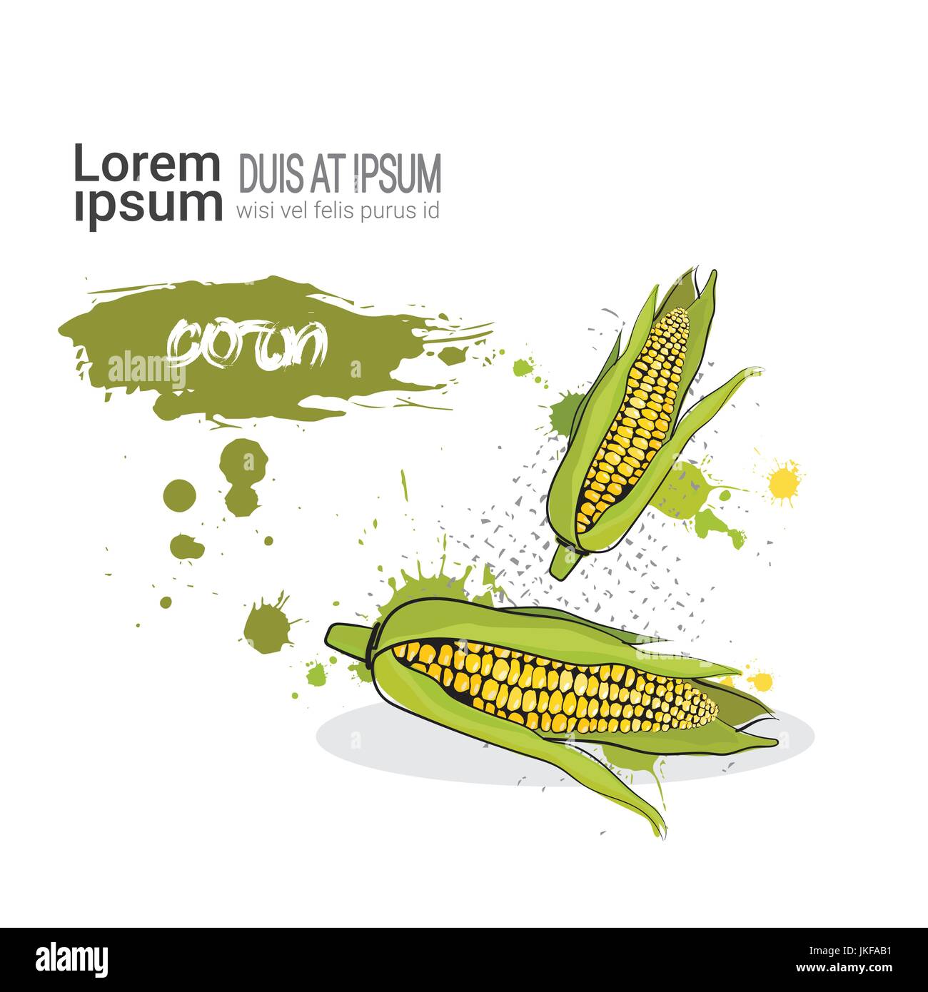 Corn Hand Drawn Watercolor Vegetable On White Background With Copy ...