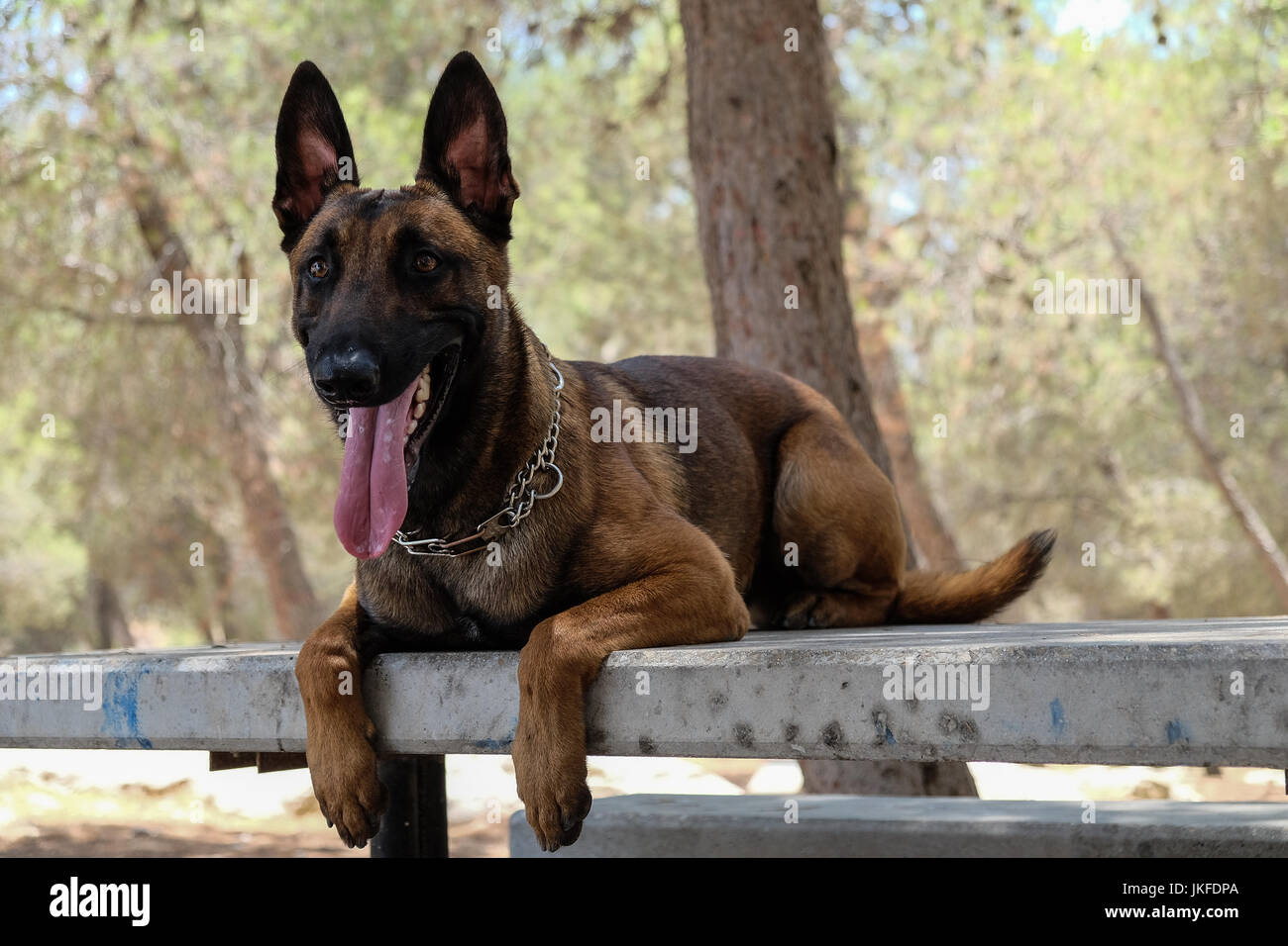 Neve tzuf hi-res stock photography and images - Alamy