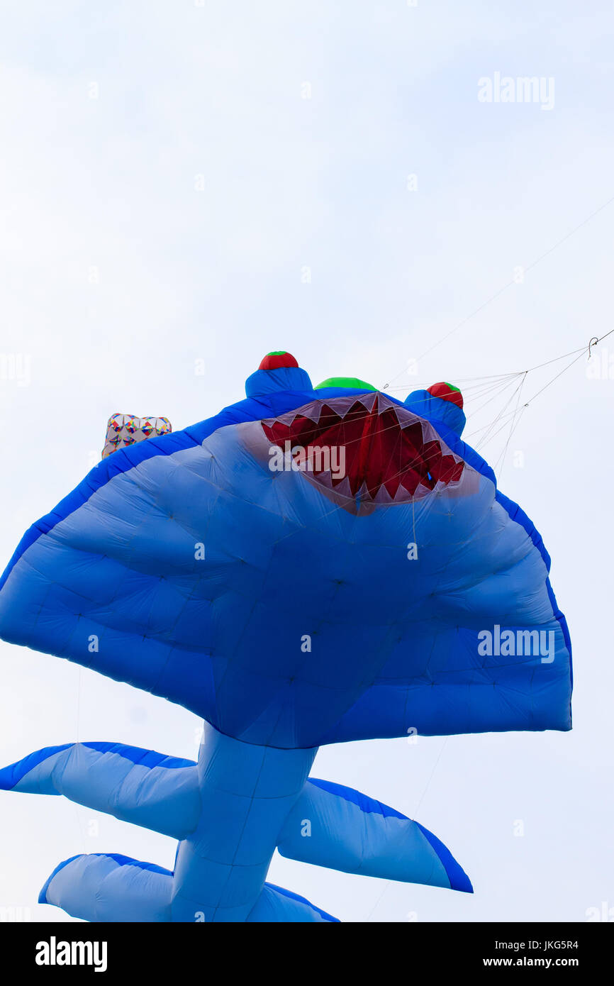 Blue kite that is flying. Blue fish kite Stock Photo - Alamy