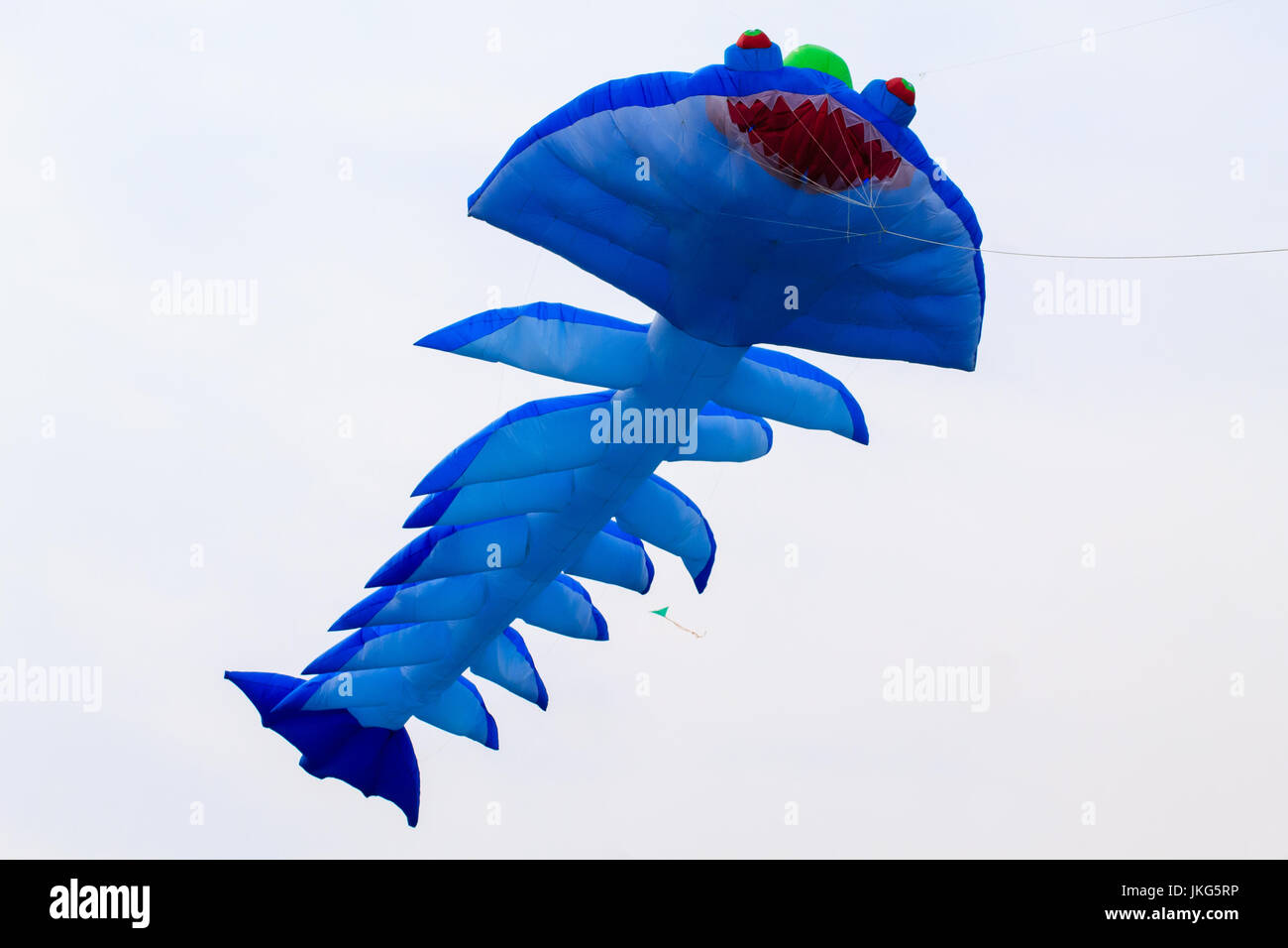 Blue kite that is flying. Blue fish kite Stock Photo - Alamy