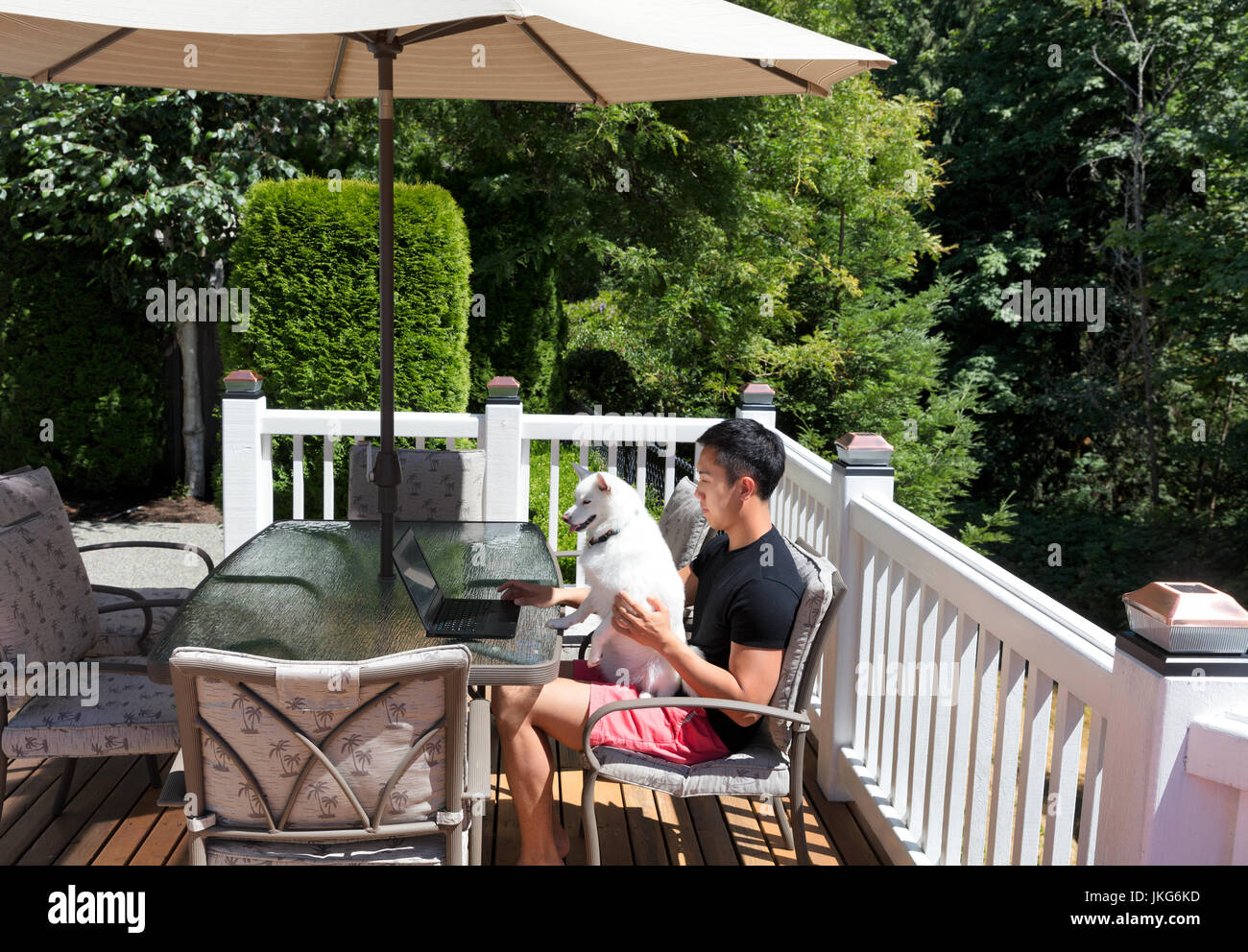 Working at home with pet hi-res stock photography and images - Alamy