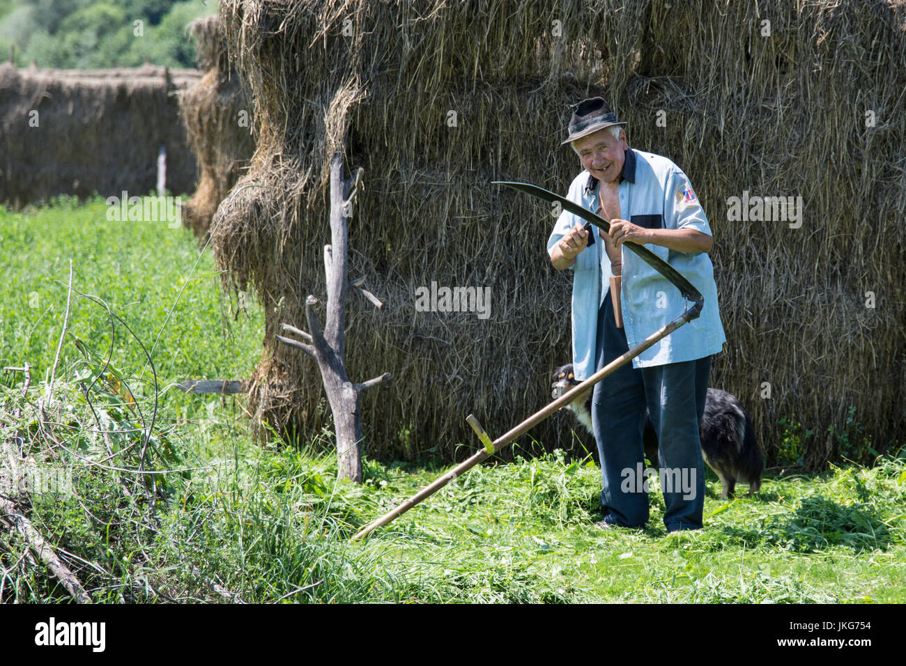 Farmer cutting hay crop in hi-res stock photography and images - Alamy