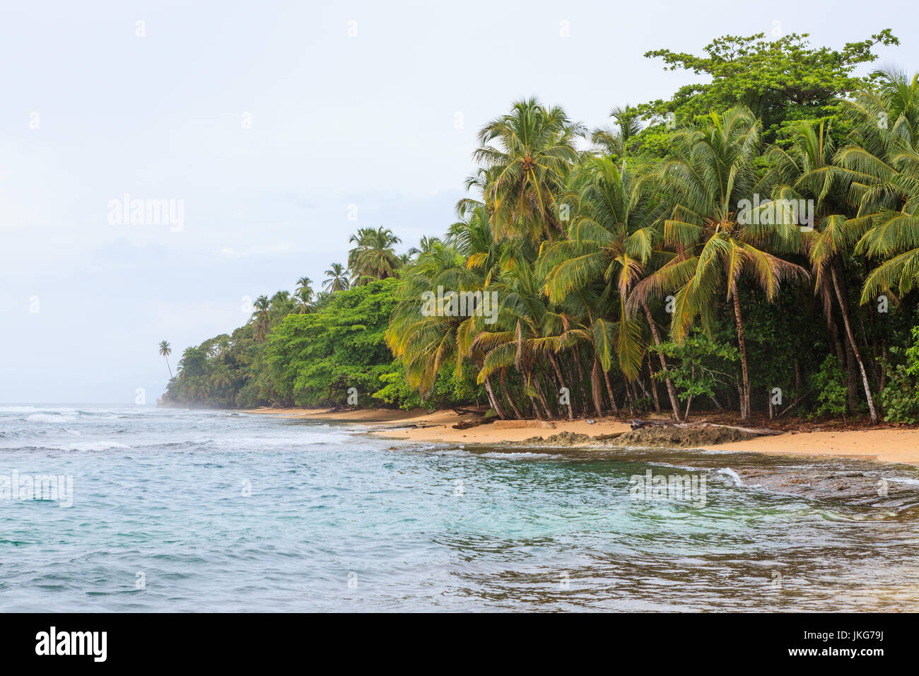 Tropical paradise beach Costa Rica Stock Photo - Alamy