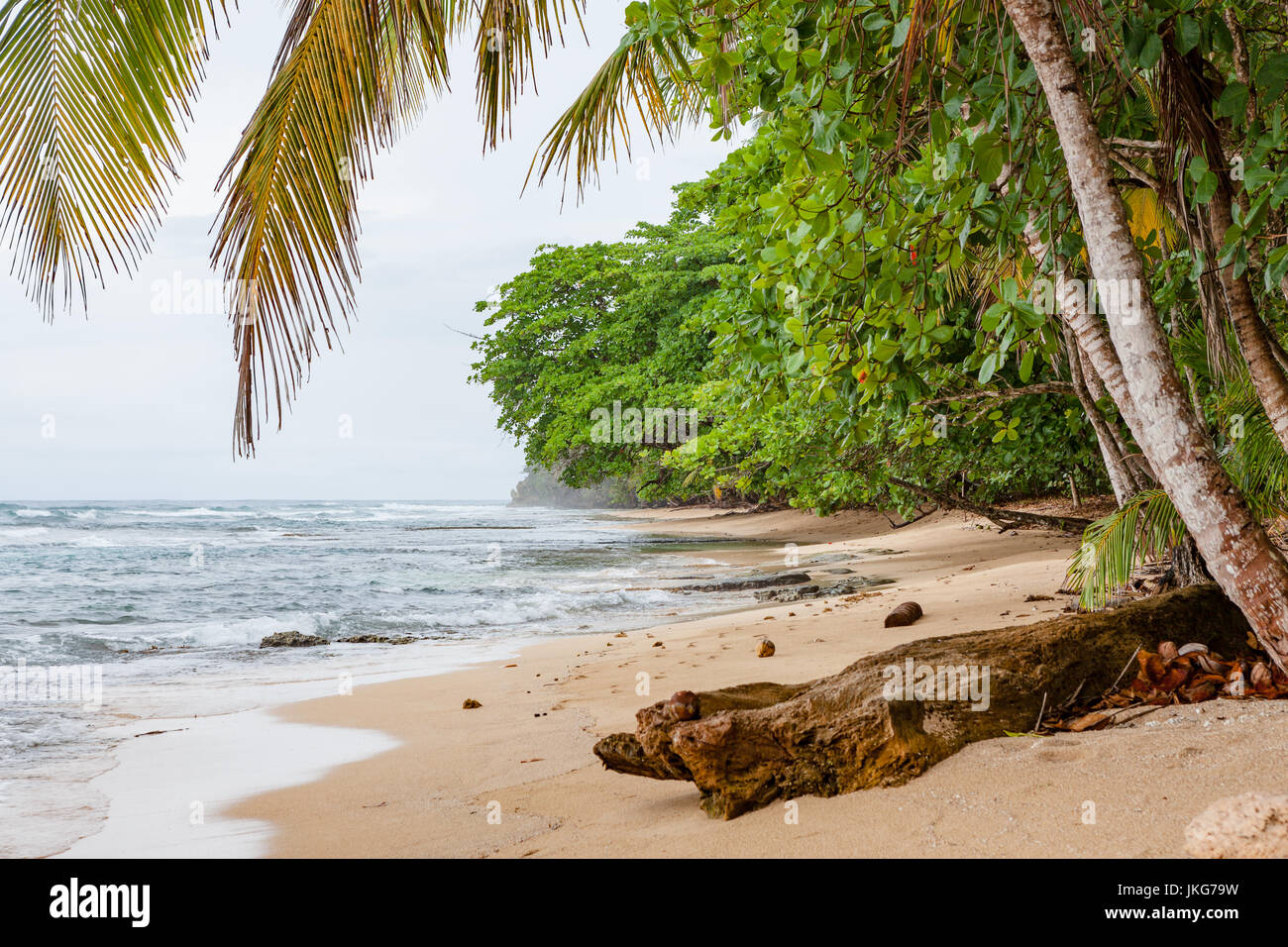 Tropical paradise beach Costa Rica Stock Photo - Alamy