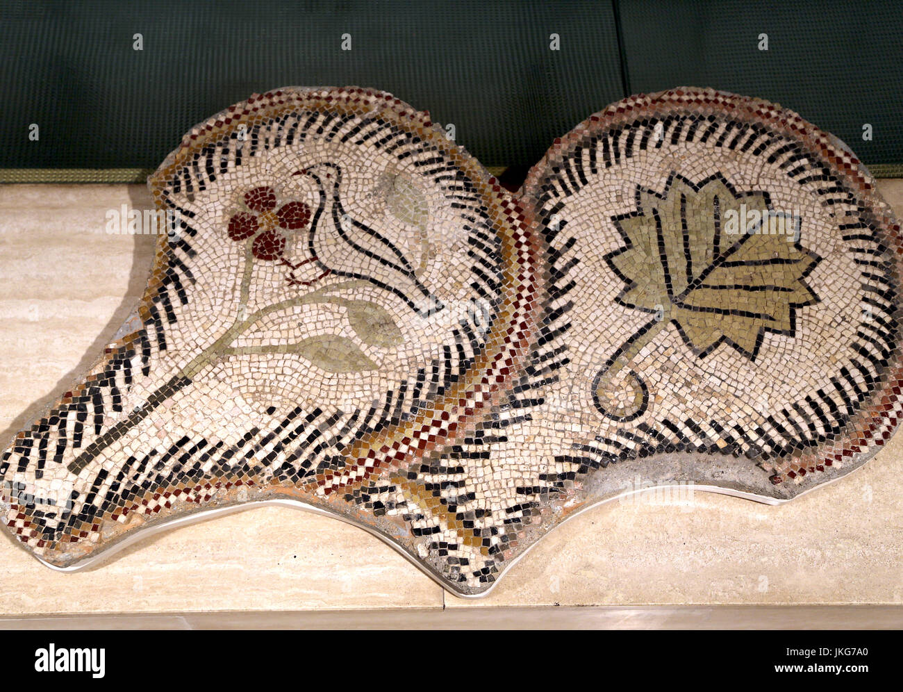 Ancient roman mosaic plants hi-res stock photography and images - Alamy