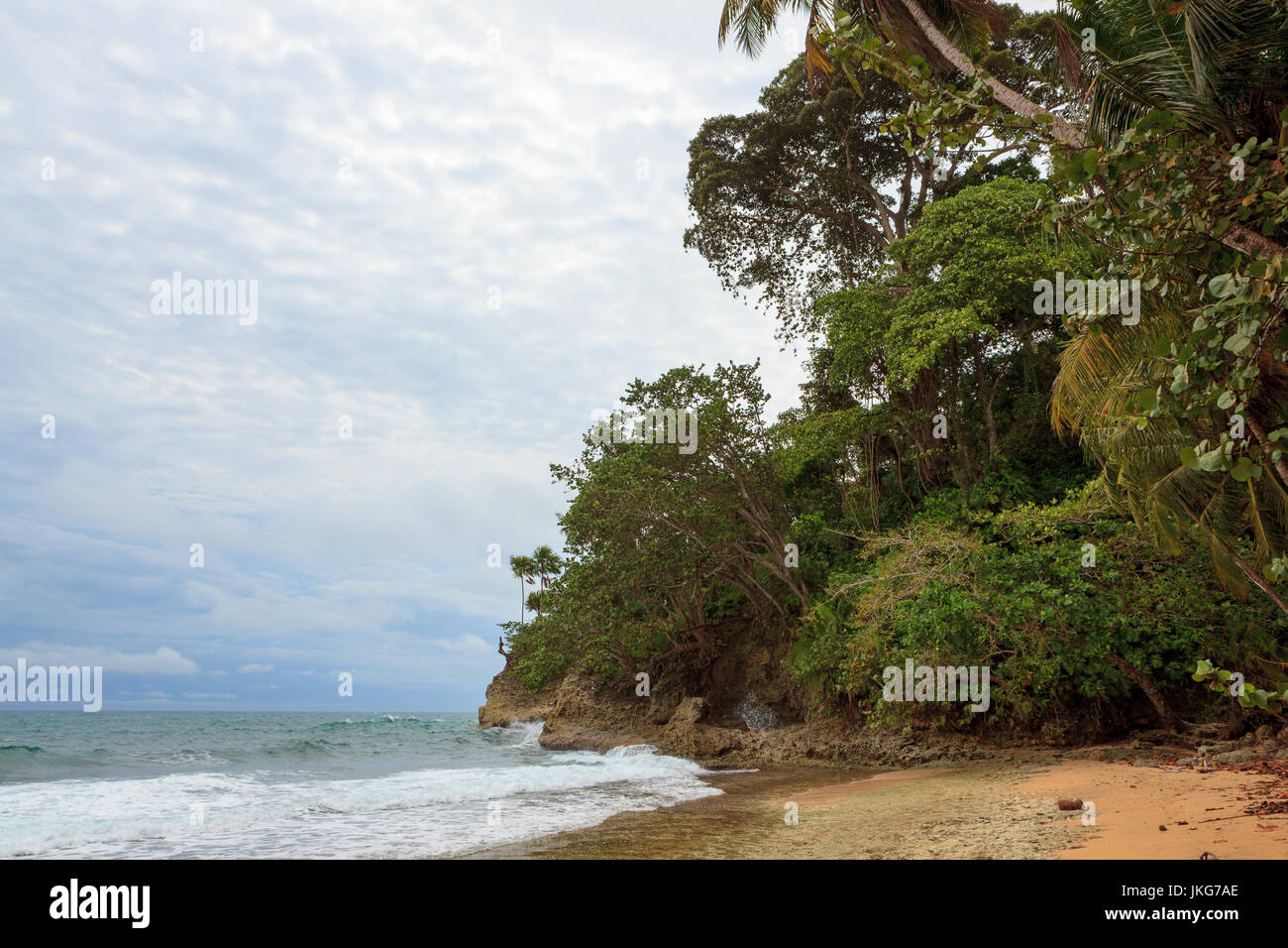 Beach forest and storm sky Stock Photo - Alamy