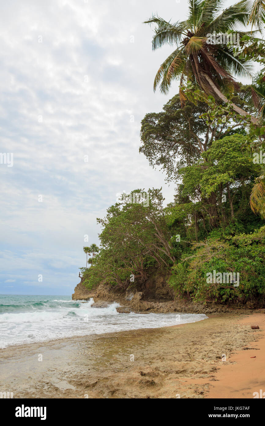 Beach forest and storm sky Stock Photo - Alamy