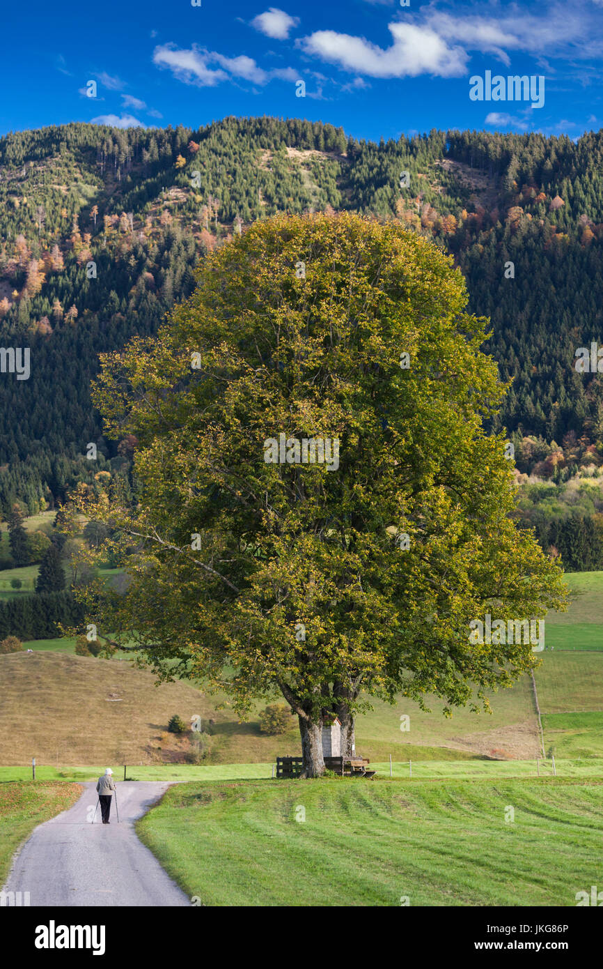 Germany, Bavaria, Halblech, alpine landscape Stock Photo - Alamy
