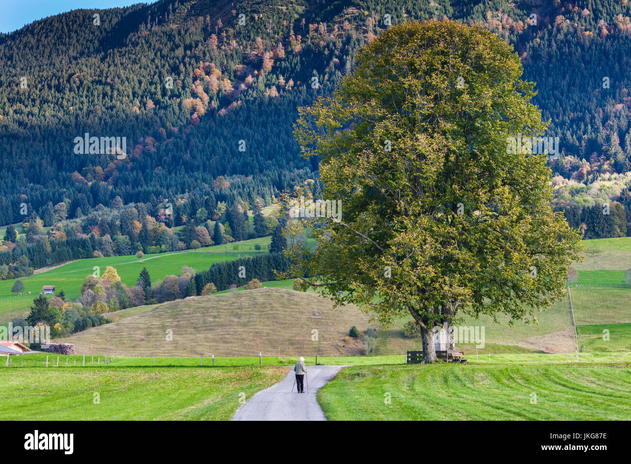 Germany, Bavaria, Halblech, alpine landscape Stock Photo - Alamy