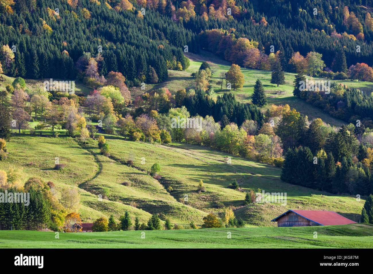 Halblech hi-res stock photography and images - Alamy