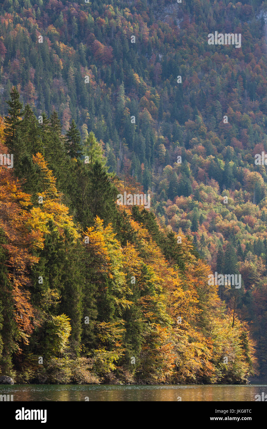 Germany, Bavaria, Koenigssee, fall foliage Stock Photo - Alamy
