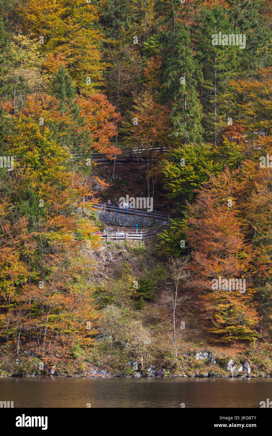 Fall Foliage Bavaria High Resolution Stock Photography and Images - Alamy