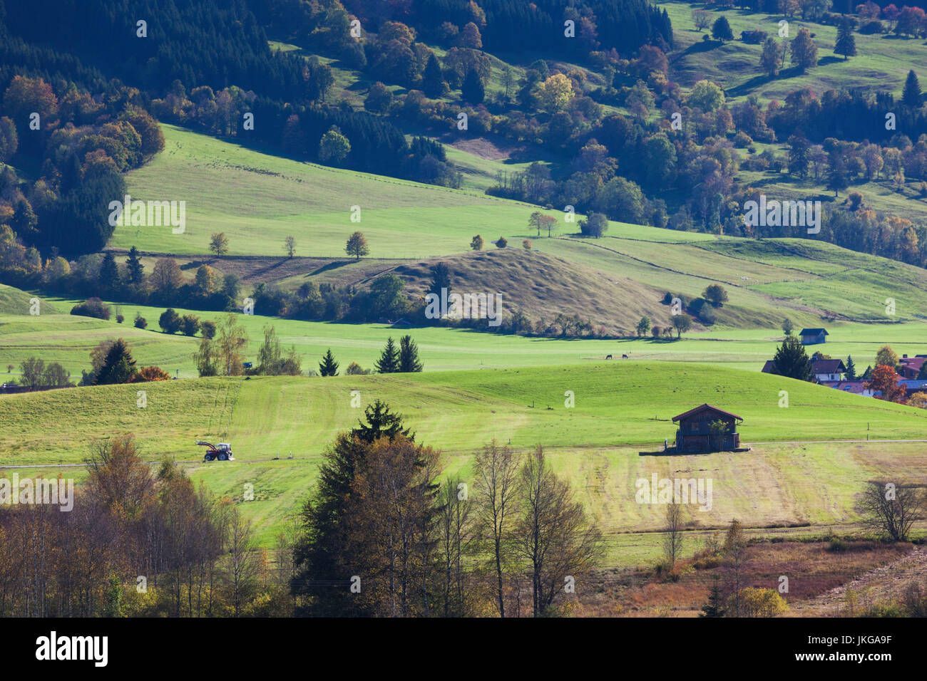 Germany, Bavaria, Ried, Alpine landscape, fall Stock Photo - Alamy