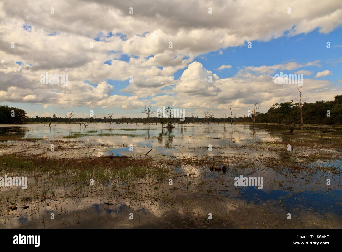 Lake on side way to Neak Pean (Neak Poan, The entwined serpents ...