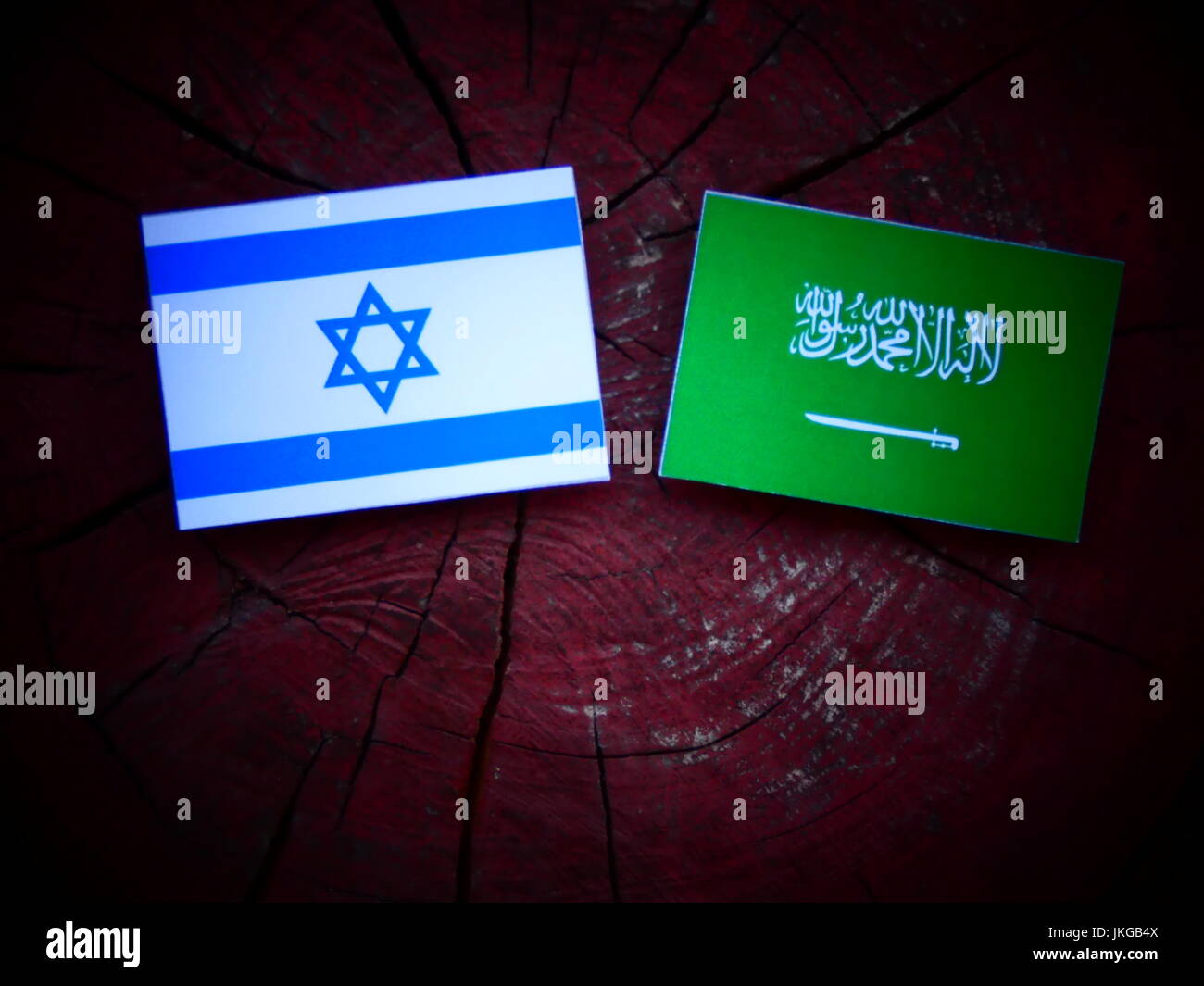 Israeli flag with Saudi Arabian flag on a tree stump isolated Stock ...