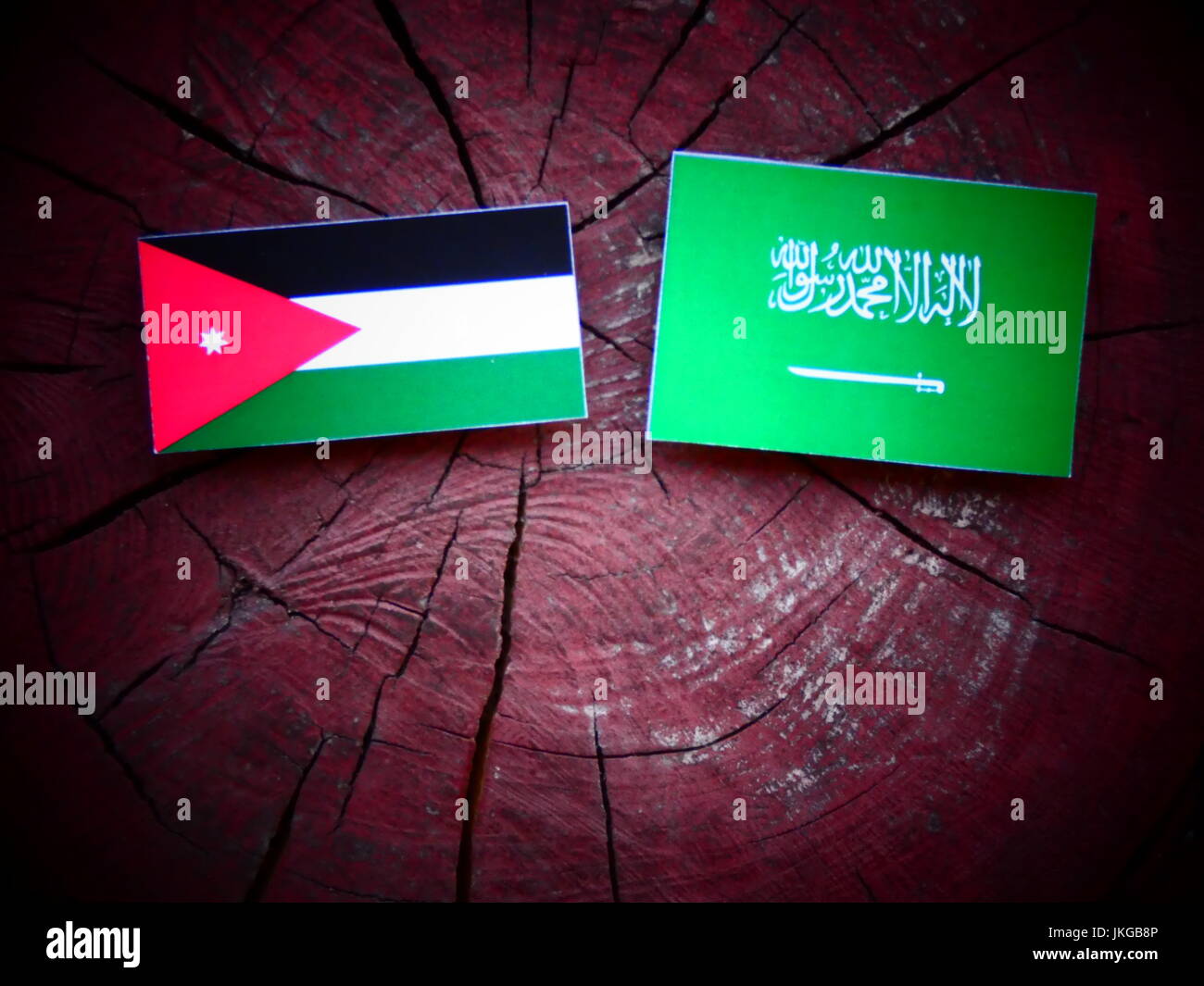 Jordanian flag with Saudi Arabian flag on a tree stump isolated Stock ...