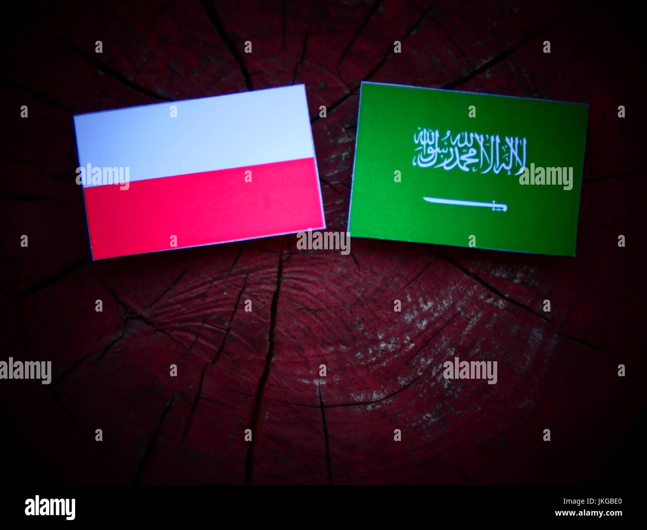 Polish flag with Saudi Arabian flag on a tree stump isolated Stock ...