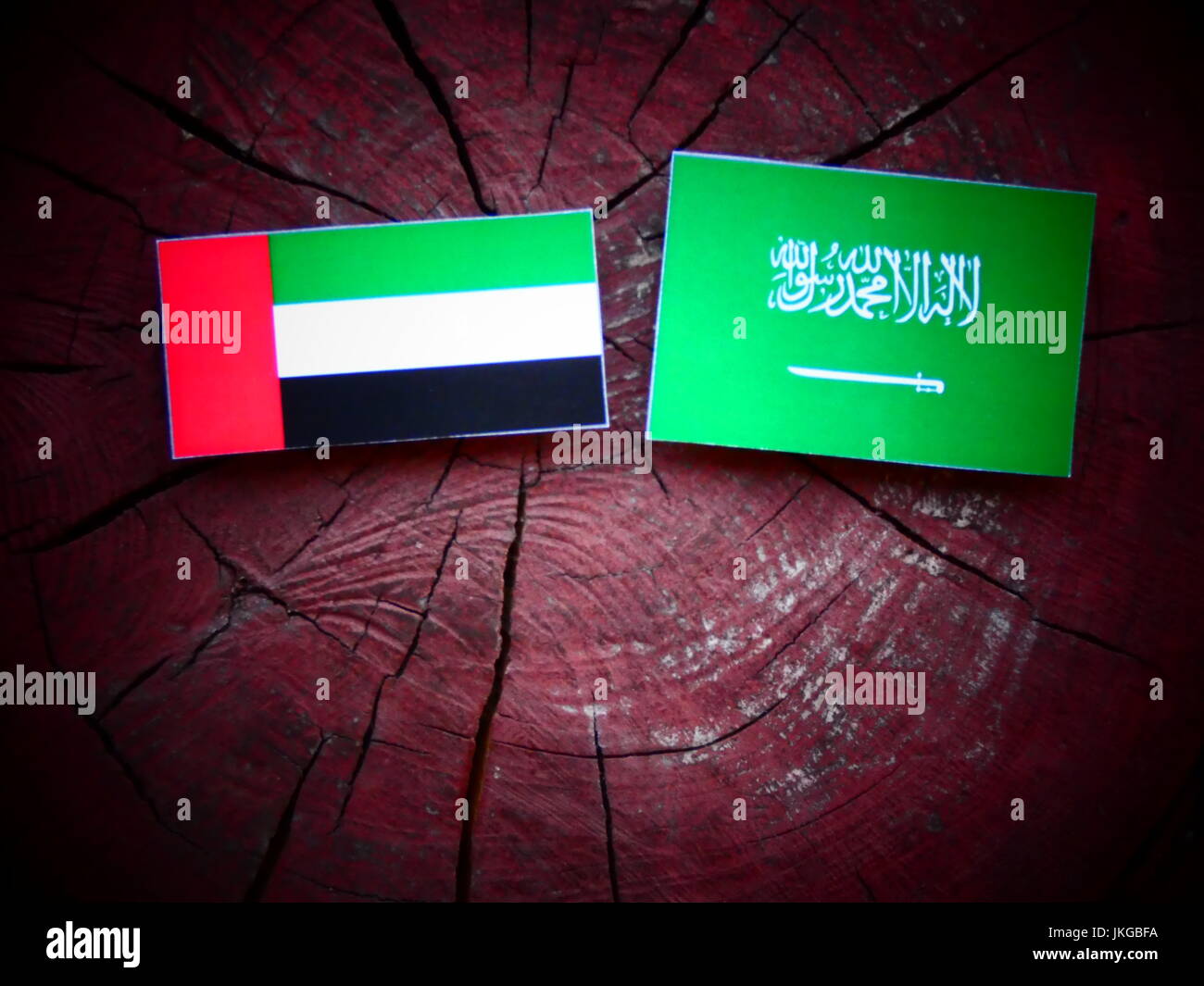 United Arab Emirates flag with Saudi Arabian flag on a tree stump ...