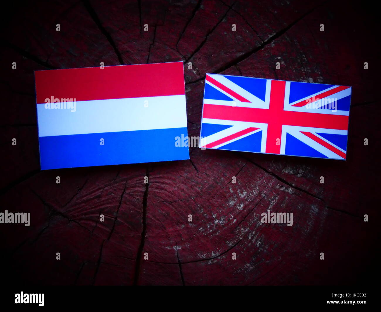 Dutch flag with UK flag on a tree stump isolated Stock Photo - Alamy