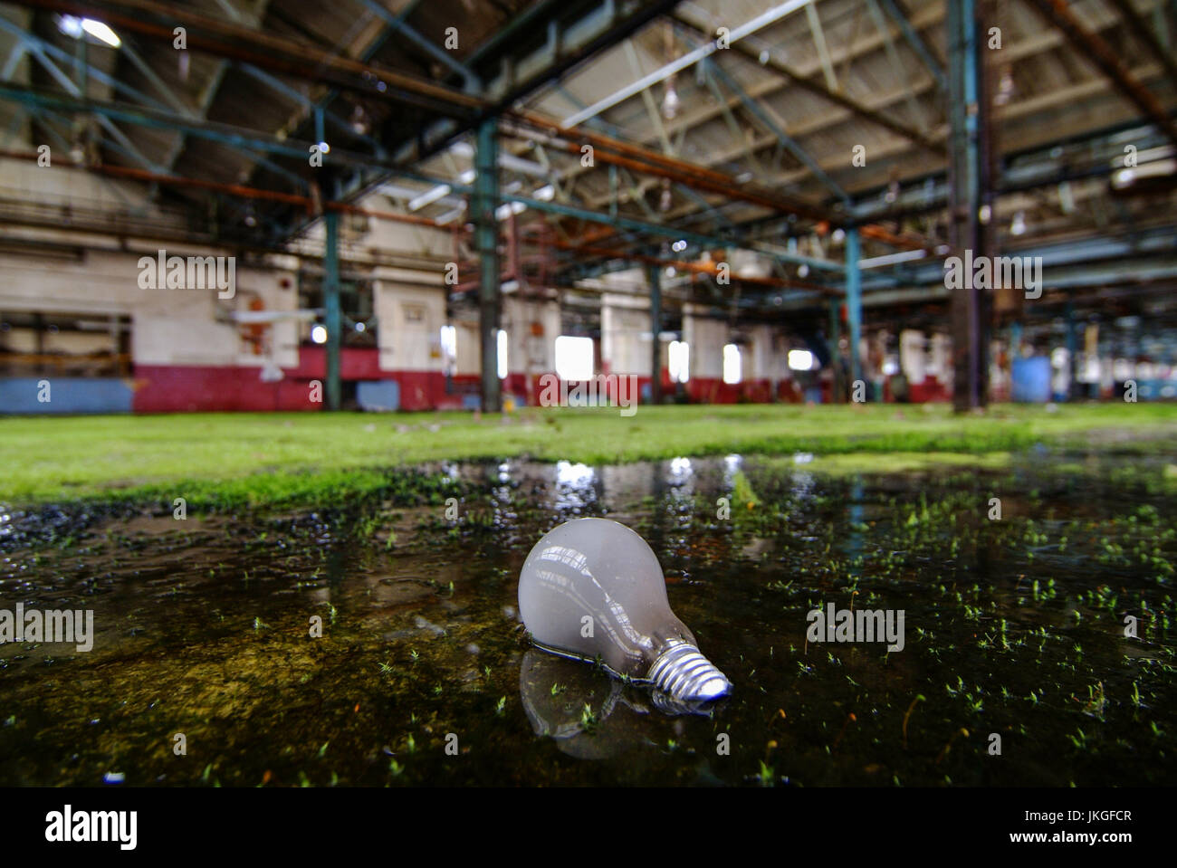 A discarded light bulb lies in a puddle inside a long since abandoned ...