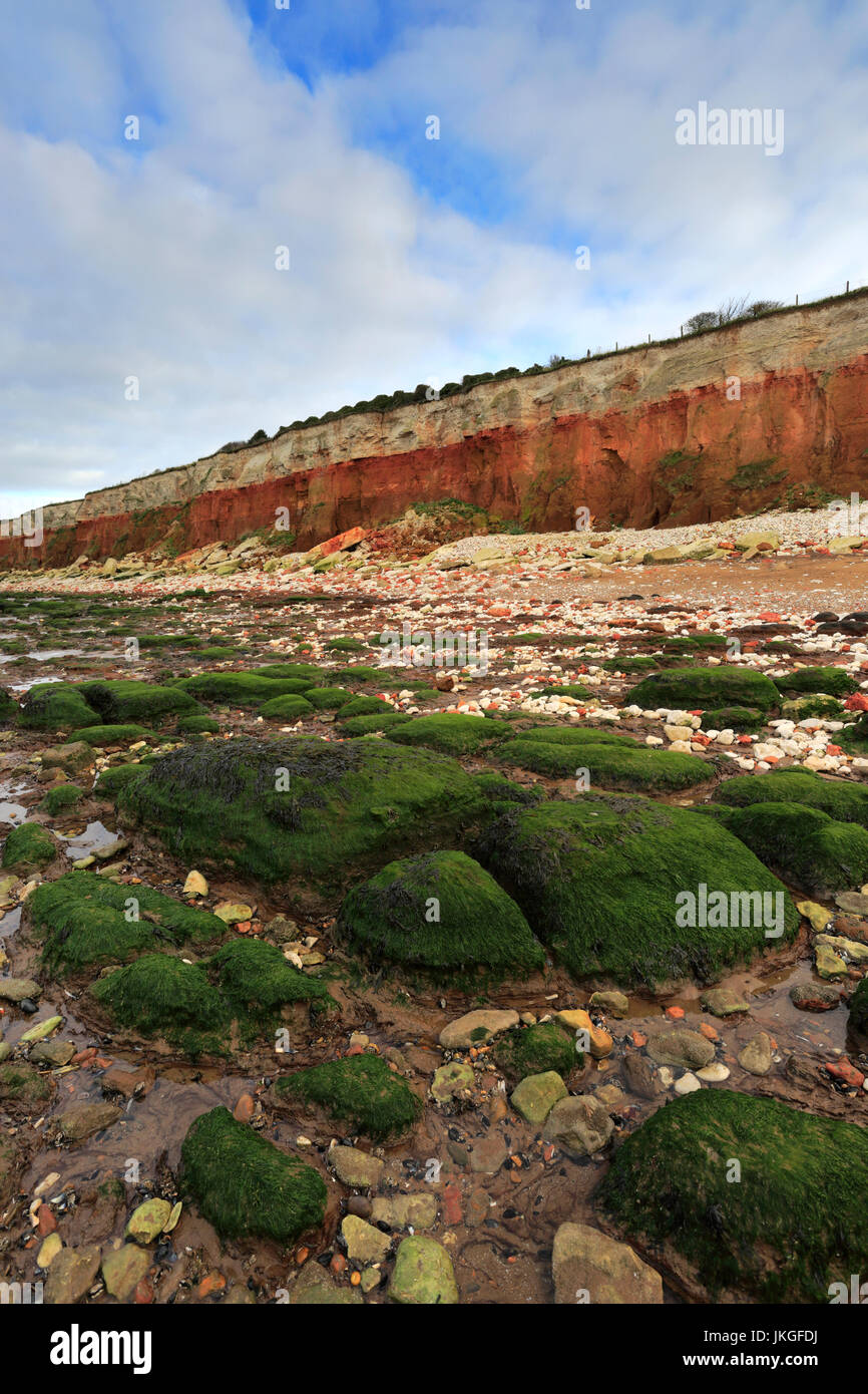 Brownstone and Chalk Cliffs; Hunstanton town; North Norfolk Coast ...