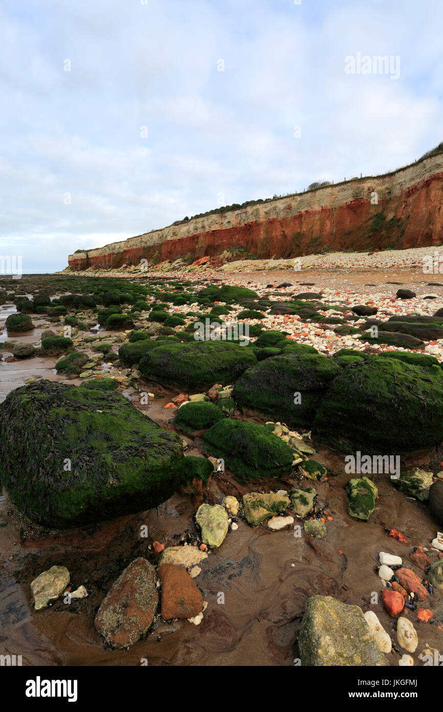 Hunstanton cliffs close up hi-res stock photography and images - Alamy