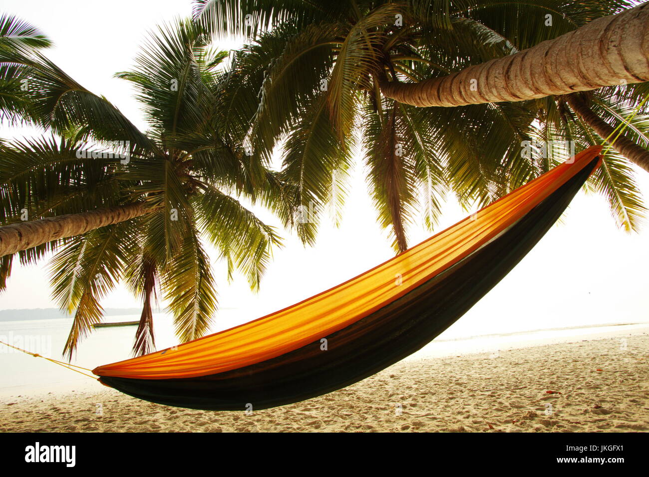 Hammock strung between palm trees on a tropical beach Stock Photo - Alamy