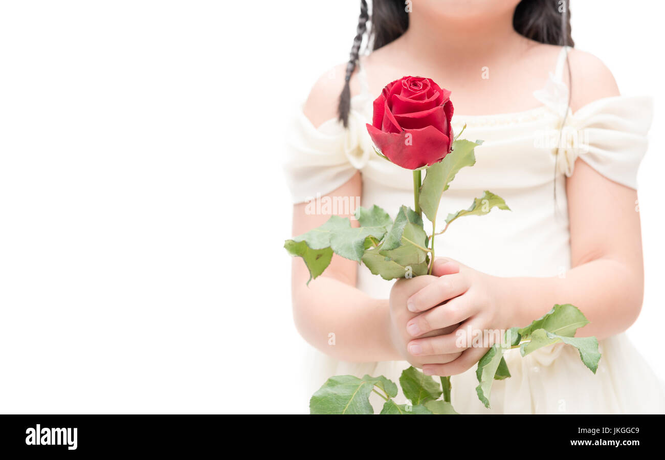 red rose in little hand girl isolated on white background, gift for ...