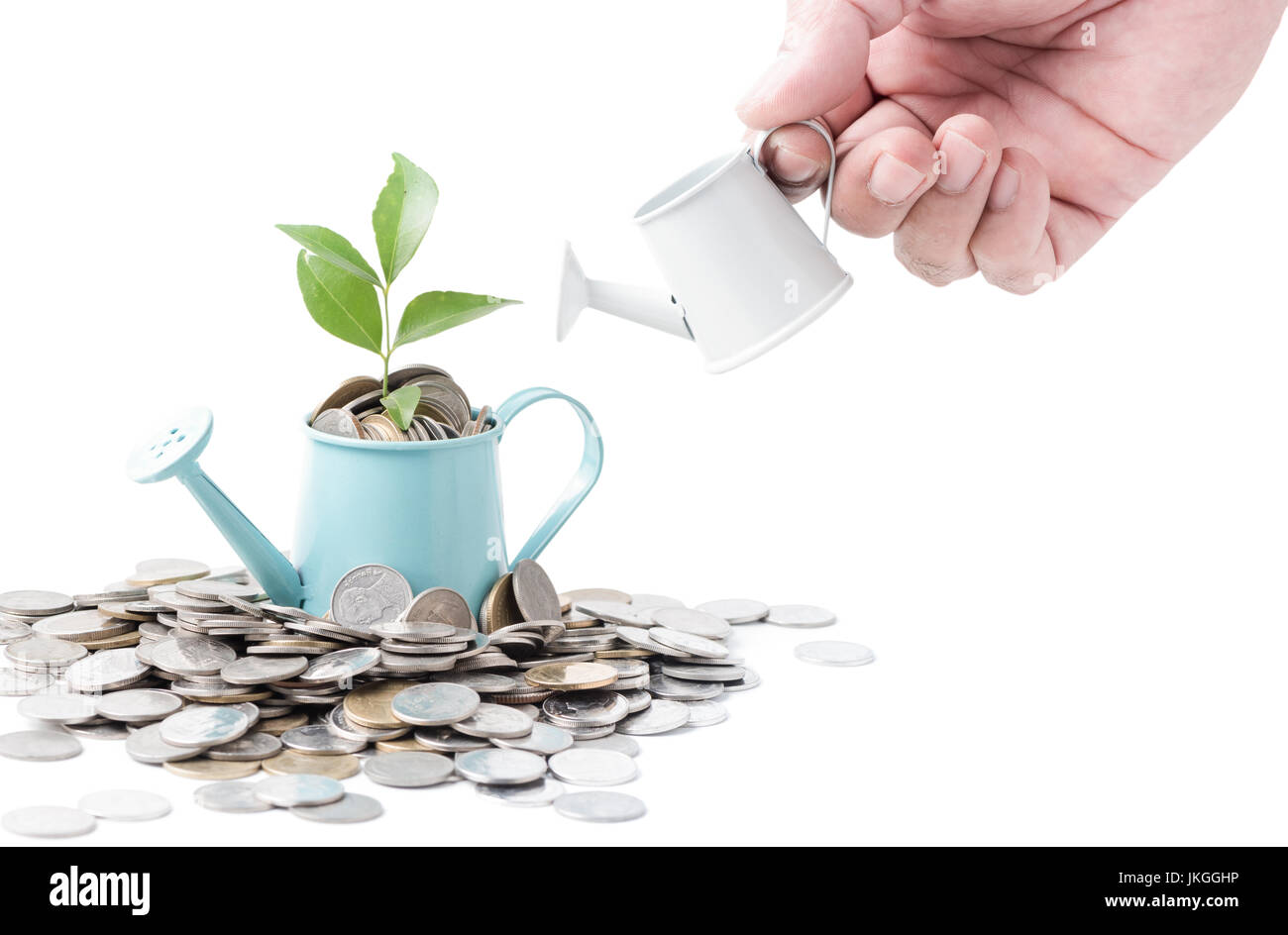 Growing money plant on coins water hi-res stock photography and images ...