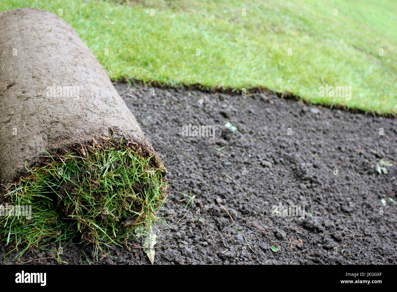 Rolls of garden turf making a new lawn Stock Photo - Alamy