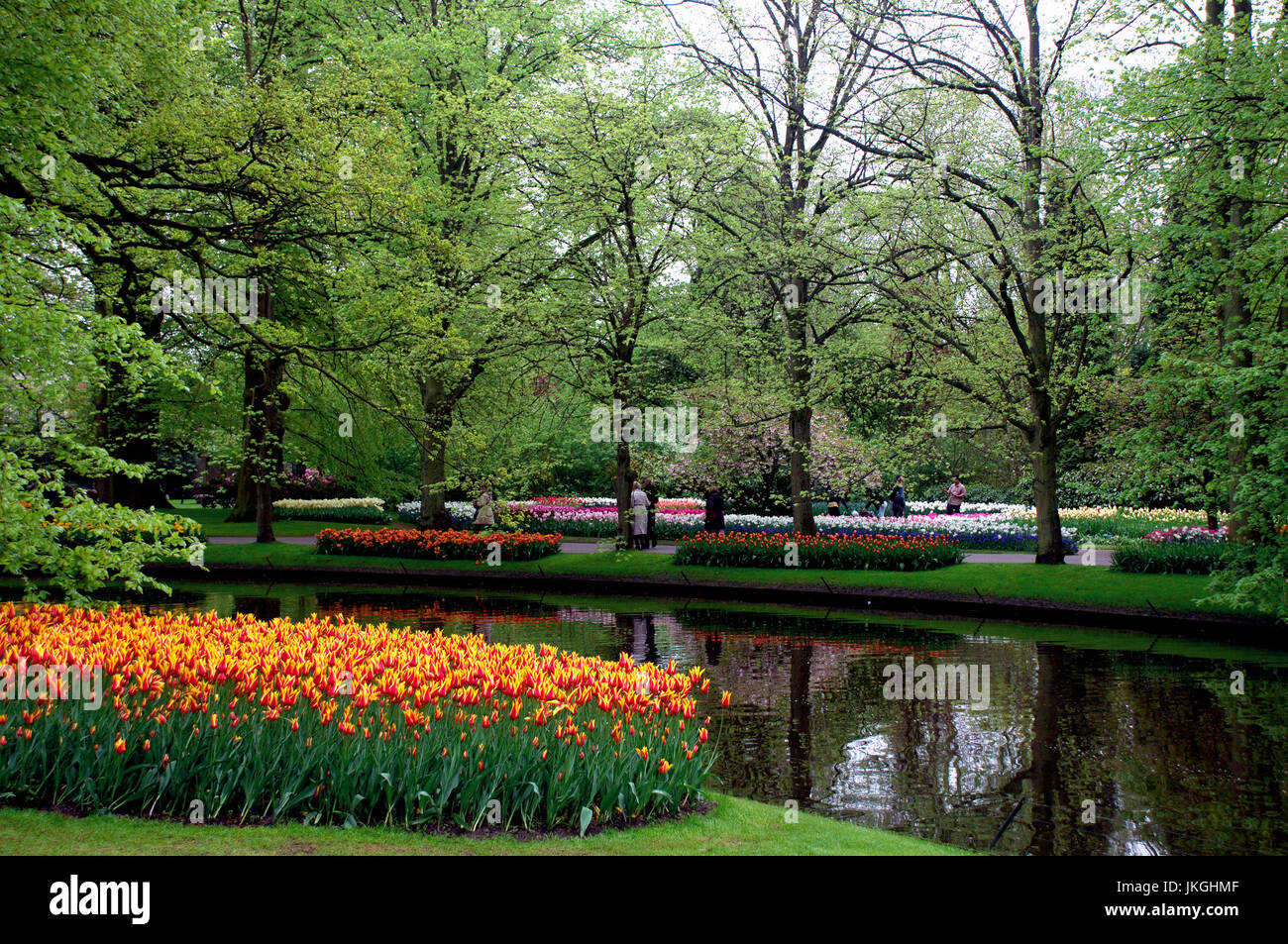 Colorful flowers grow in Keukenhof Garden in the Netherlands Stock ...