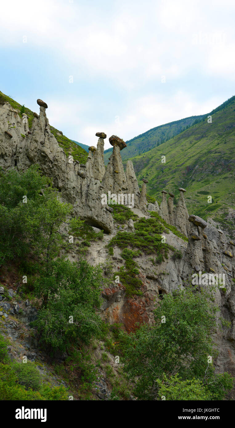 Miracle Stone Mushrooms Montage, Panorama of the big size Stock Photo ...
