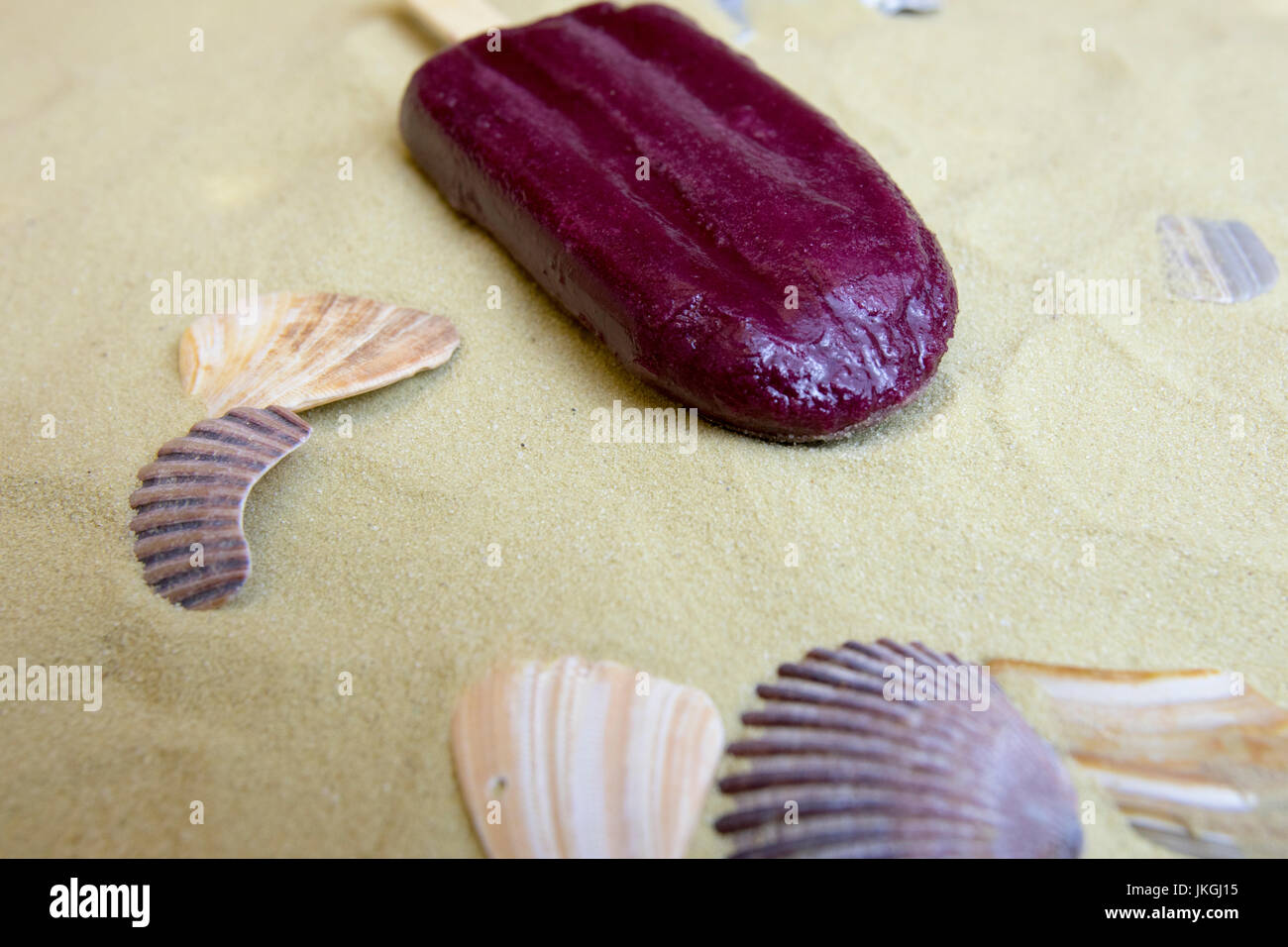 Melting purple grape frozen fruit popsicle bar on sand with sea shells ...