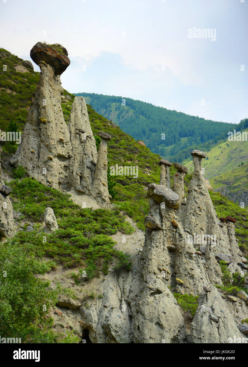 Miracle Stone Mushrooms Montage, Panorama of the big size Stock Photo ...