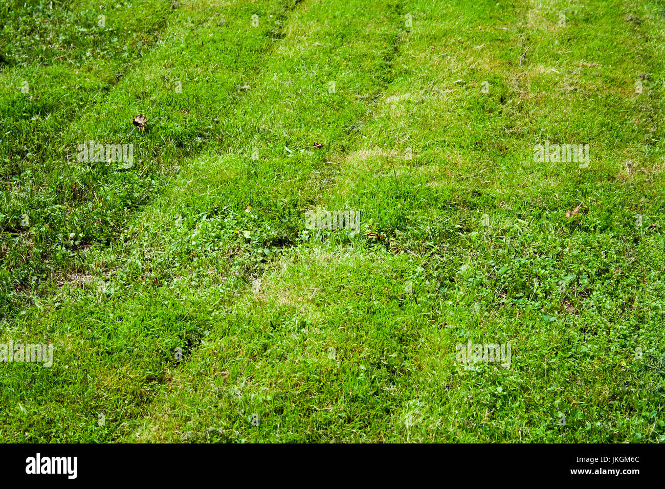 Grass texture perspective hi-res stock photography and images - Alamy