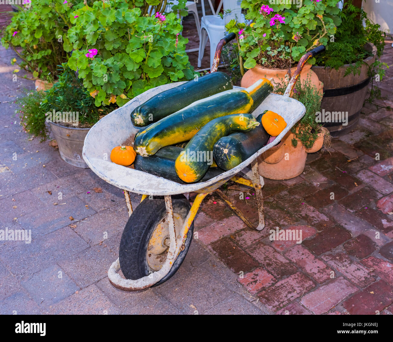 Squash in a wheelbarrow outside a shop in Hahndorf,South Australia ...