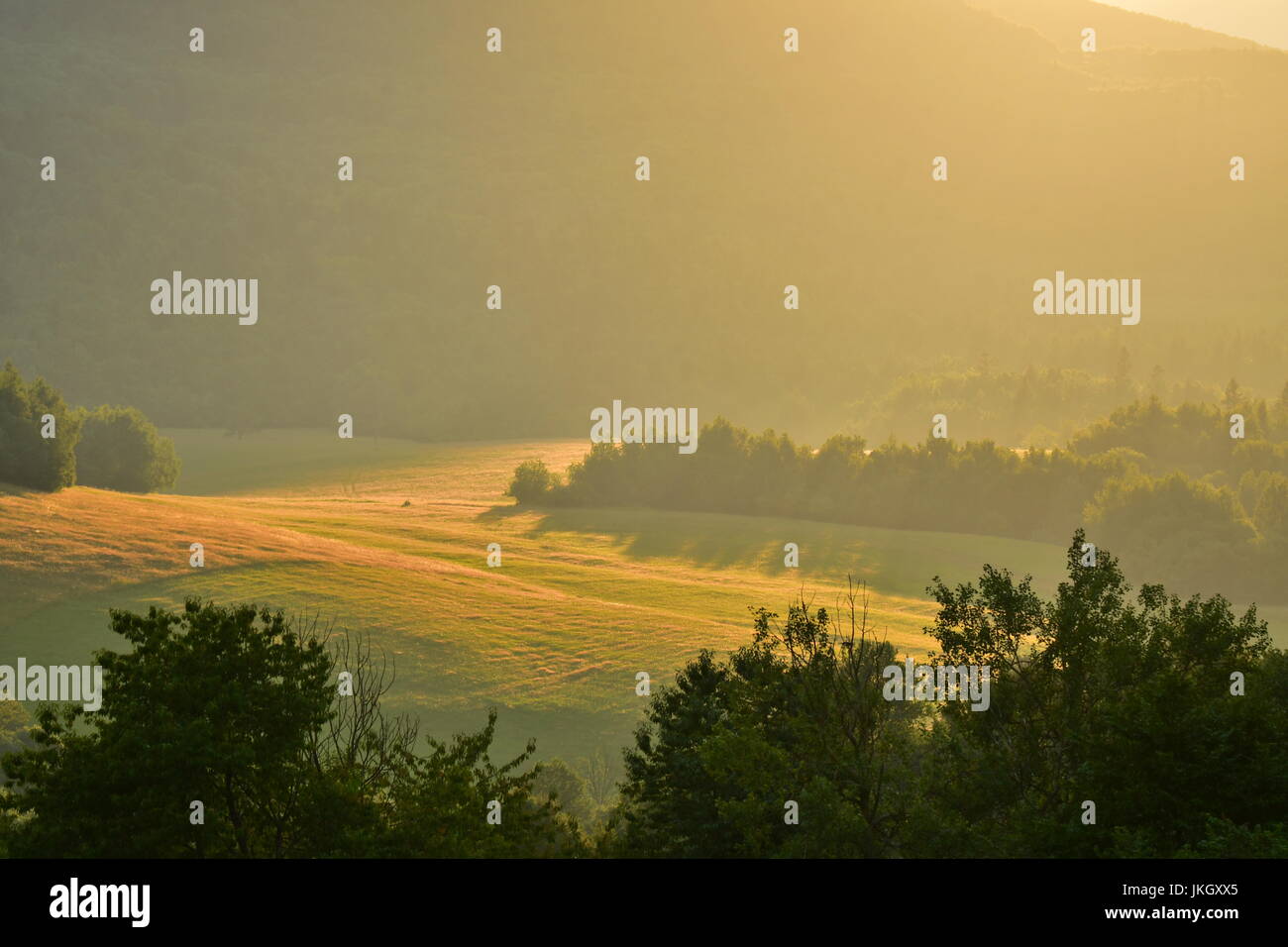 sunset forest and sky nature scenery in the evening Stock Photo - Alamy