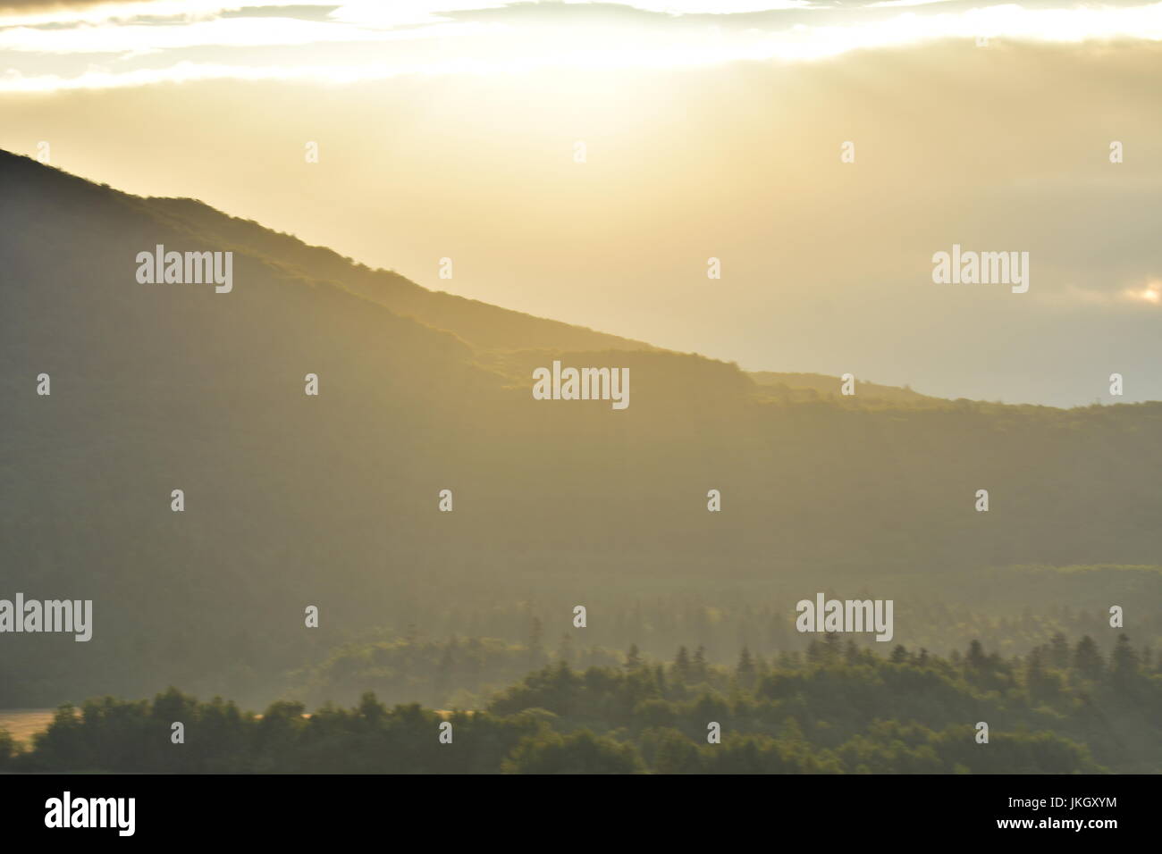 sunset forest and sky nature scenery in the evening Stock Photo - Alamy