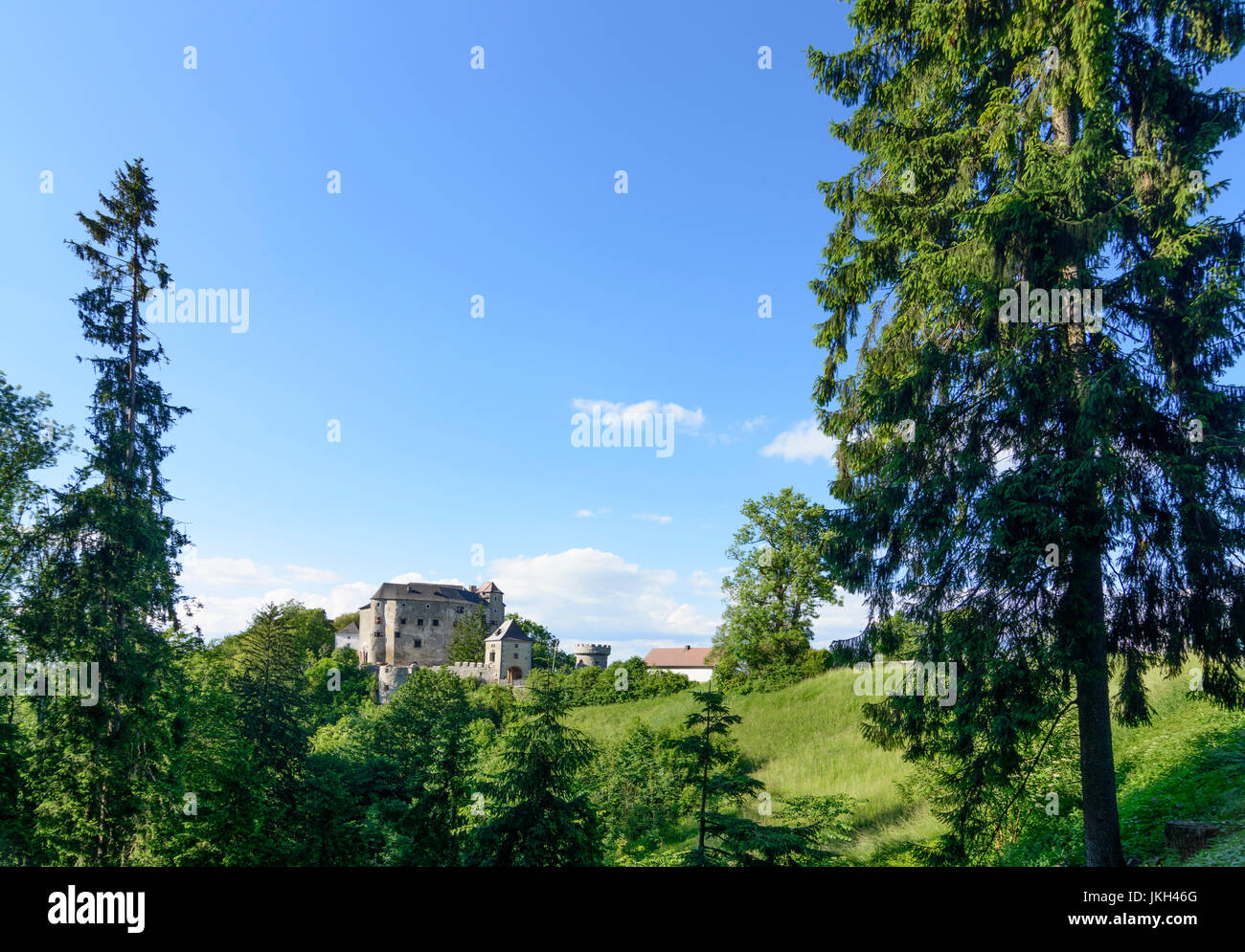 Plankenstein Castle, Texingtal, Mostviertel, Niederösterreich, Lower Austria, Austria Stock ...