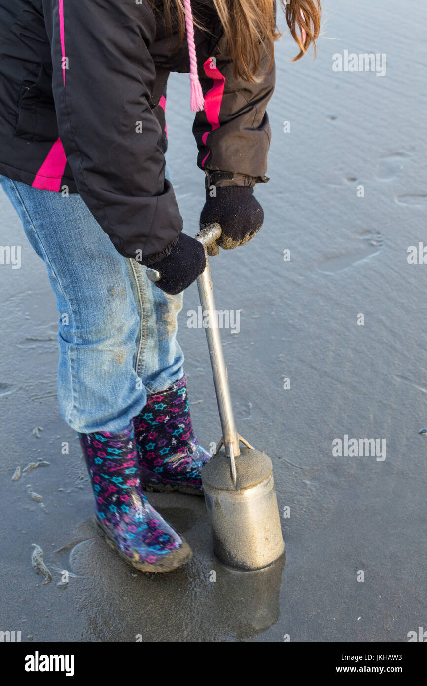 Clam digger hi-res stock photography and images - Alamy