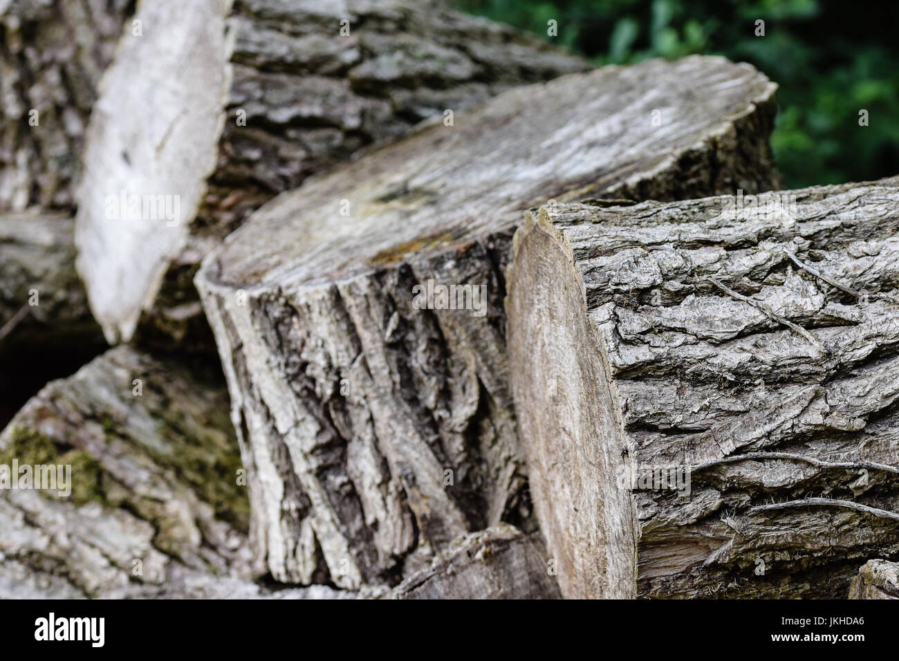 Chopped Tree Trunk High Resolution Stock Photography and Images - Alamy