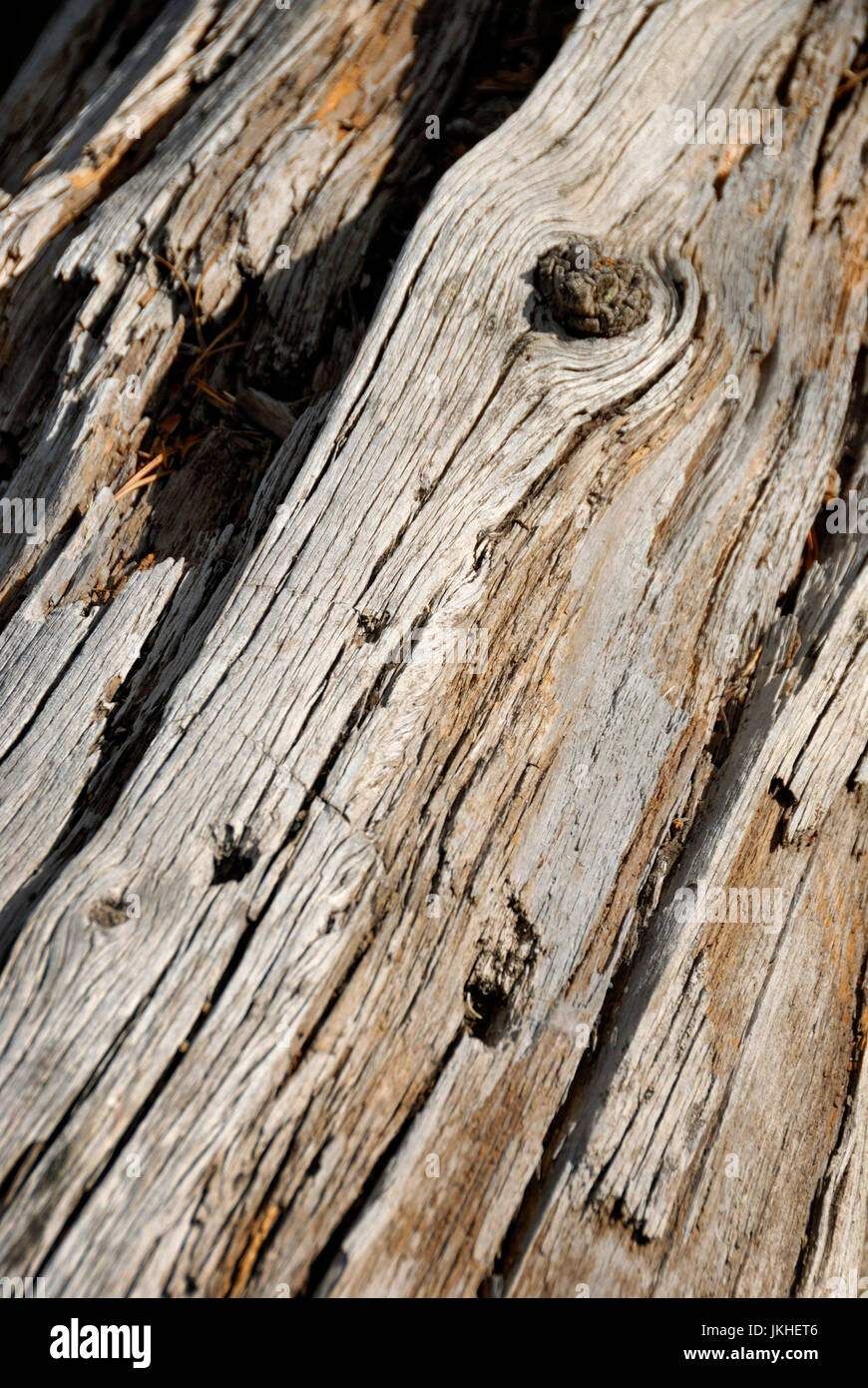 Log Rail Texture