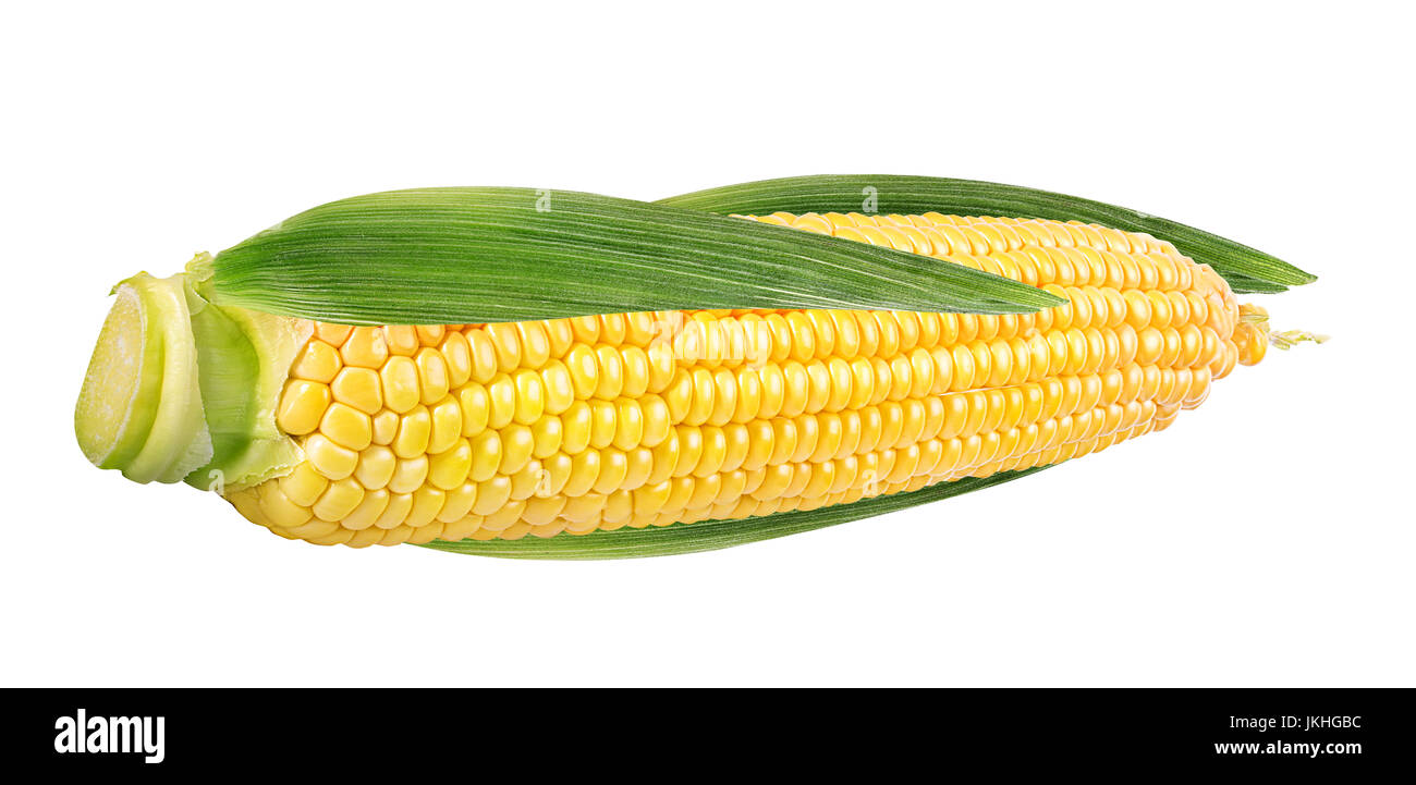 Corn isolated on white background Stock Photo - Alamy