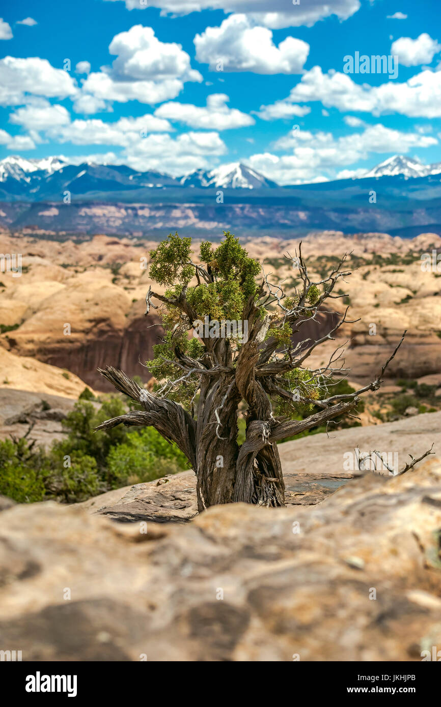 Off road vehicle views of Moab Utah trails on bright sunny days Stock ...