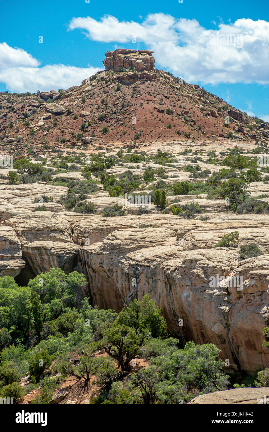 Off road vehicle views of Moab Utah trails on bright sunny days Stock ...